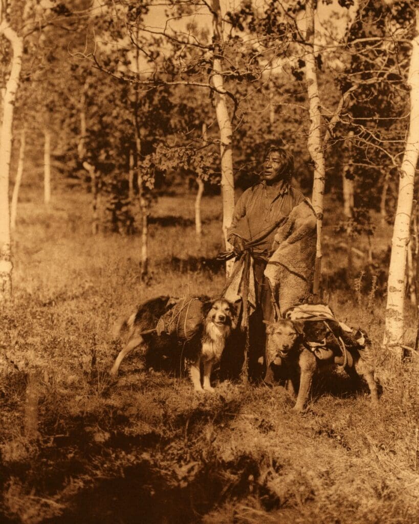 Luster Photo Paper | Edward Curtis Photos